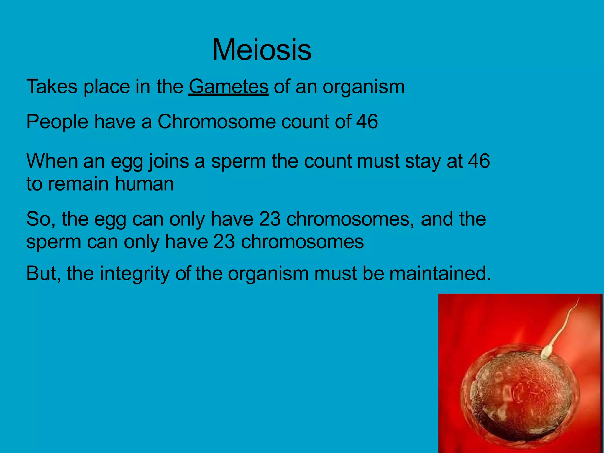 cell division mitosis meiosis.pptx