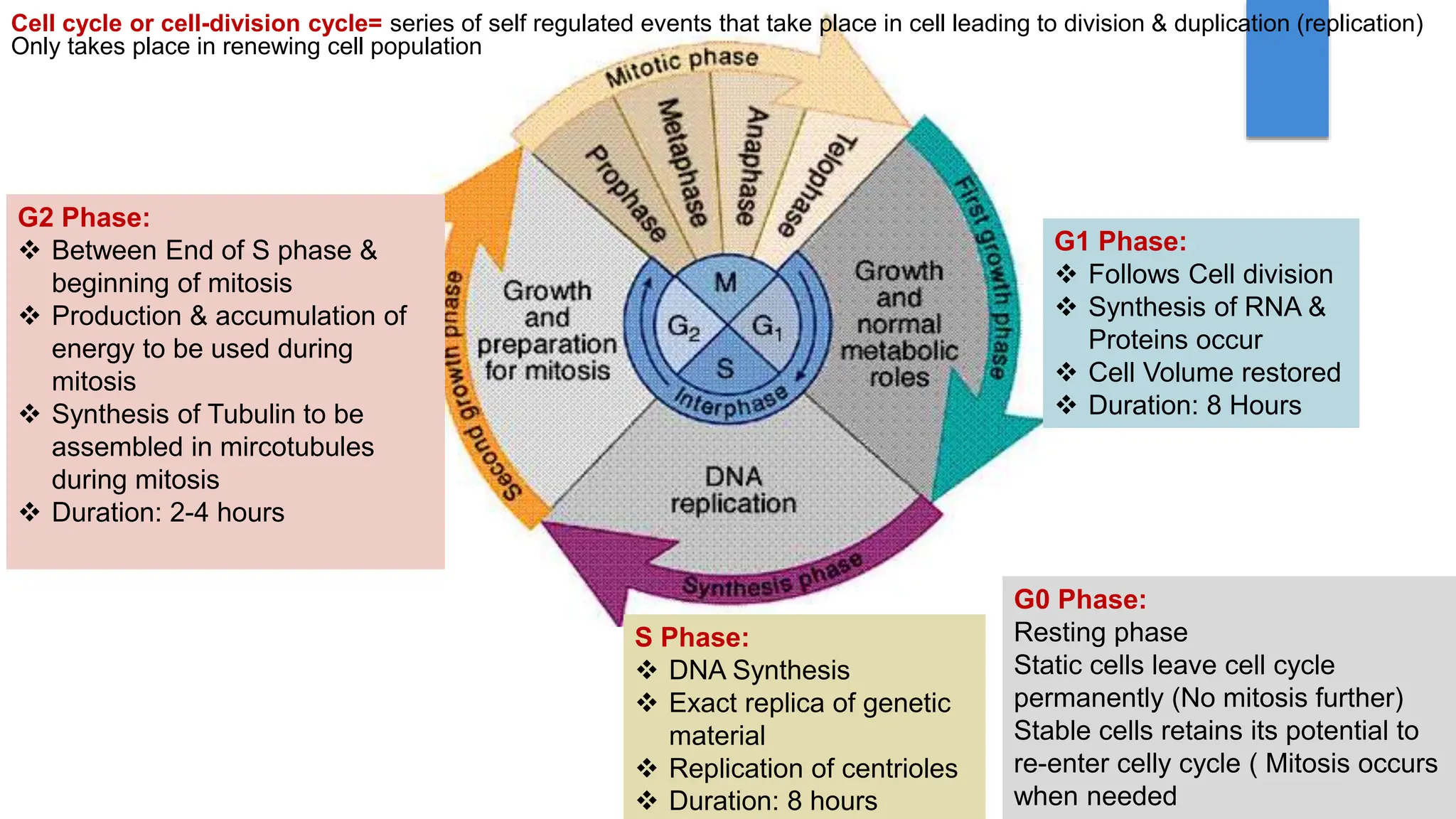 Cell Division, Mitosis & Meiosis by Dr. Rabia I. Gandapore.pptx