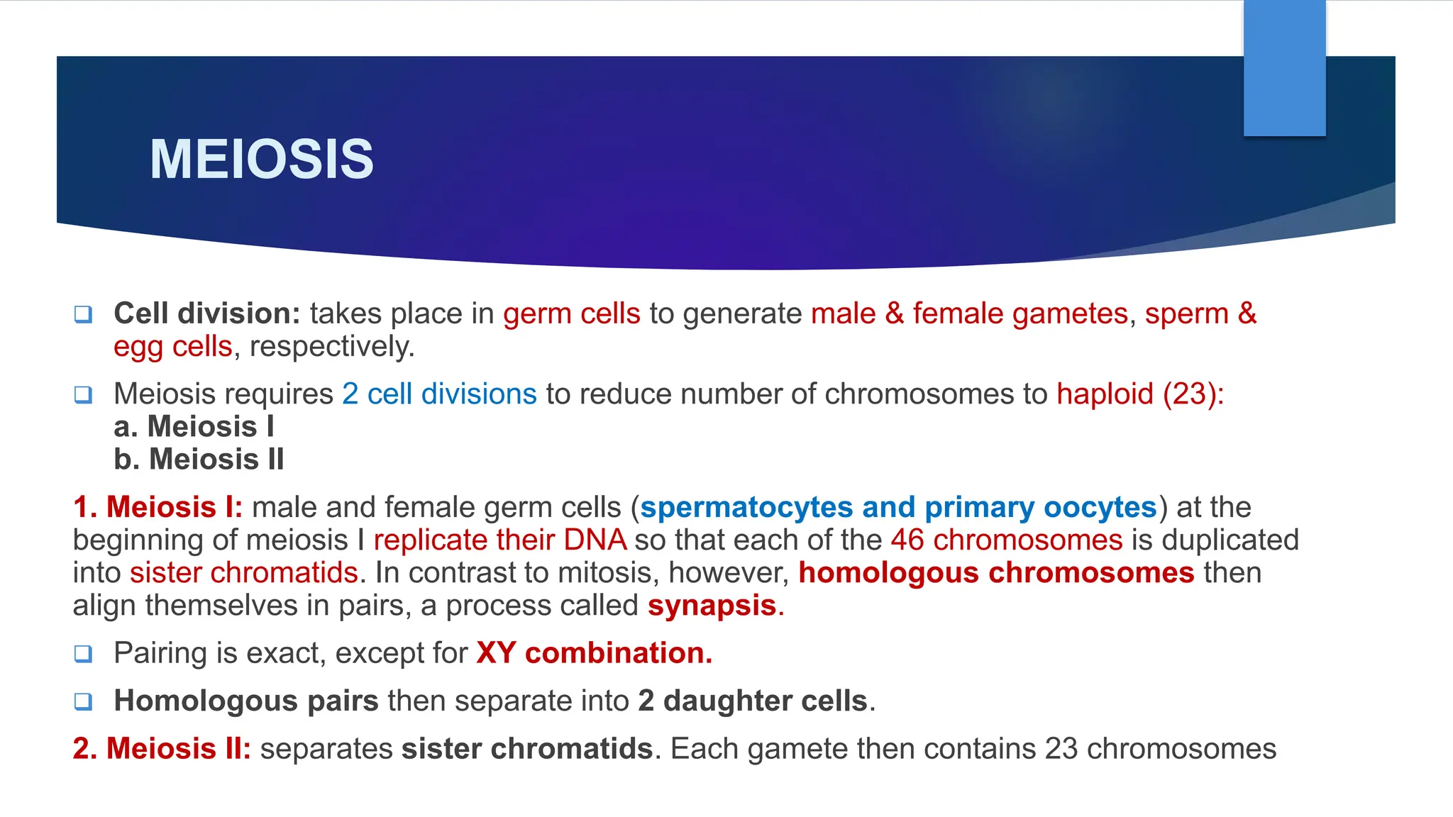 Cell Division, Mitosis & Meiosis by Dr. Rabia I. Gandapore.pptx