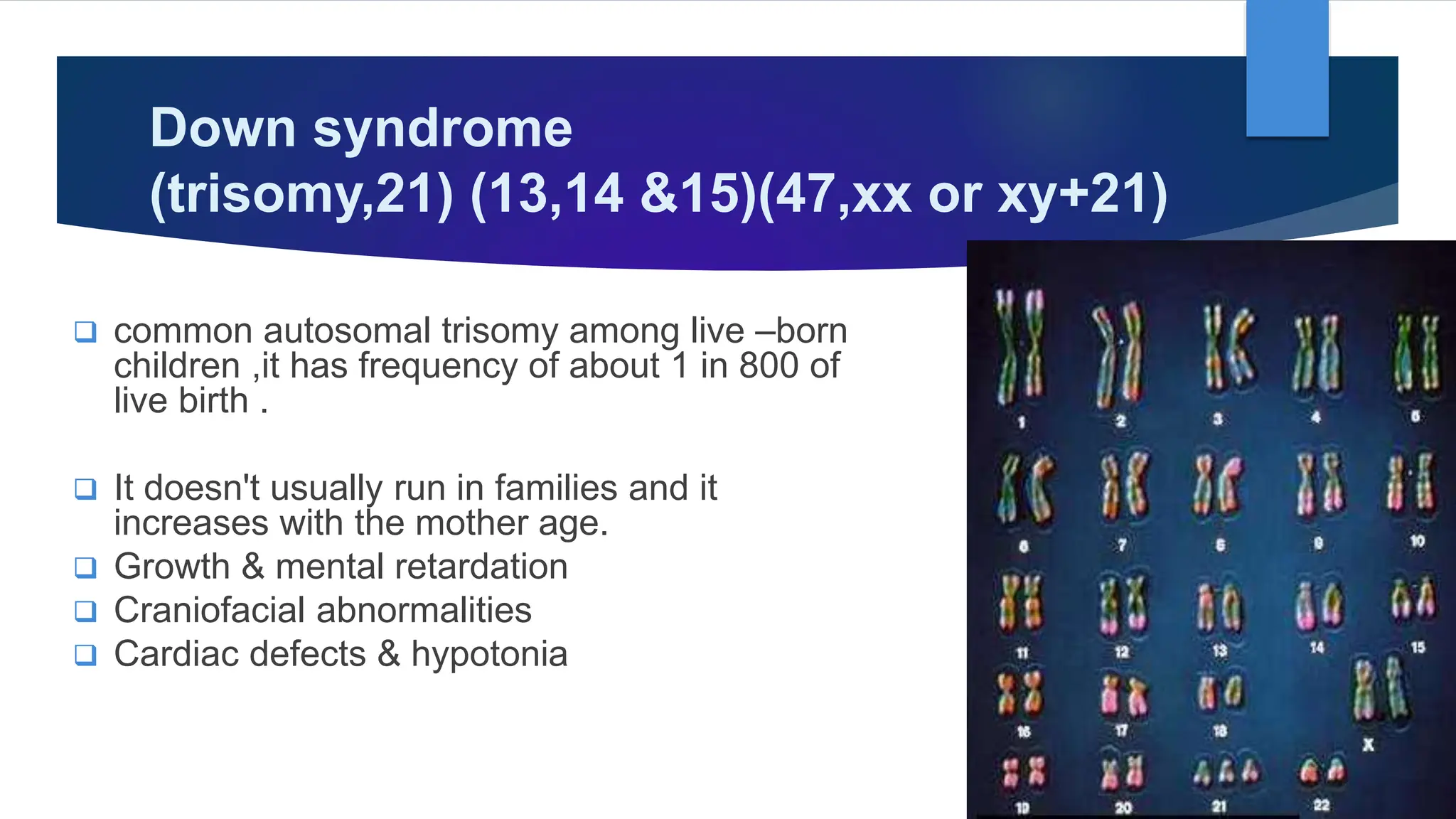Cell Division, Mitosis & Meiosis by Dr. Rabia I. Gandapore.pptx