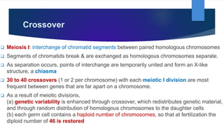 Cell Division, Mitosis & Meiosis by Dr. Rabia I. Gandapore.pptx
