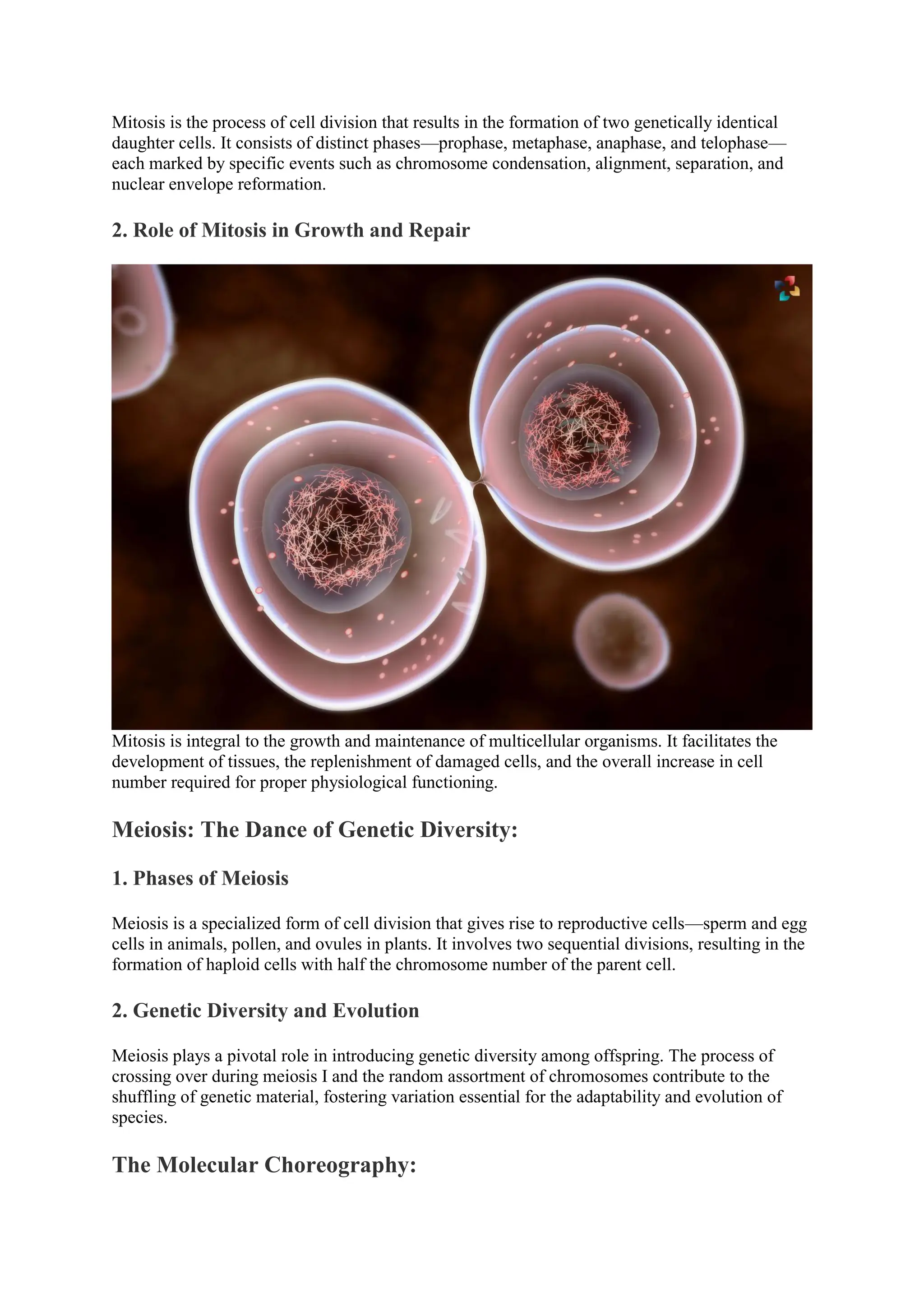 Cell Division: Mitosis, Meiosis & Cytokinesis | The Lifesciences Magazine | PDF