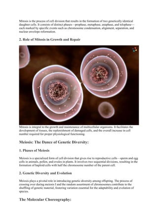 Cell Division: Mitosis, Meiosis & Cytokinesis | The Lifesciences ...