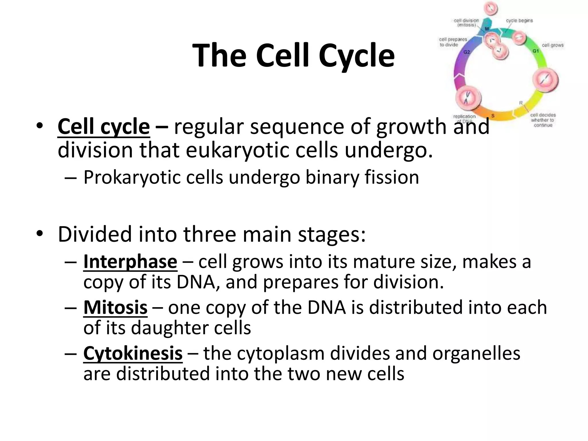 Cell_Division_Mitosis_Meiosis_ppt.pptx