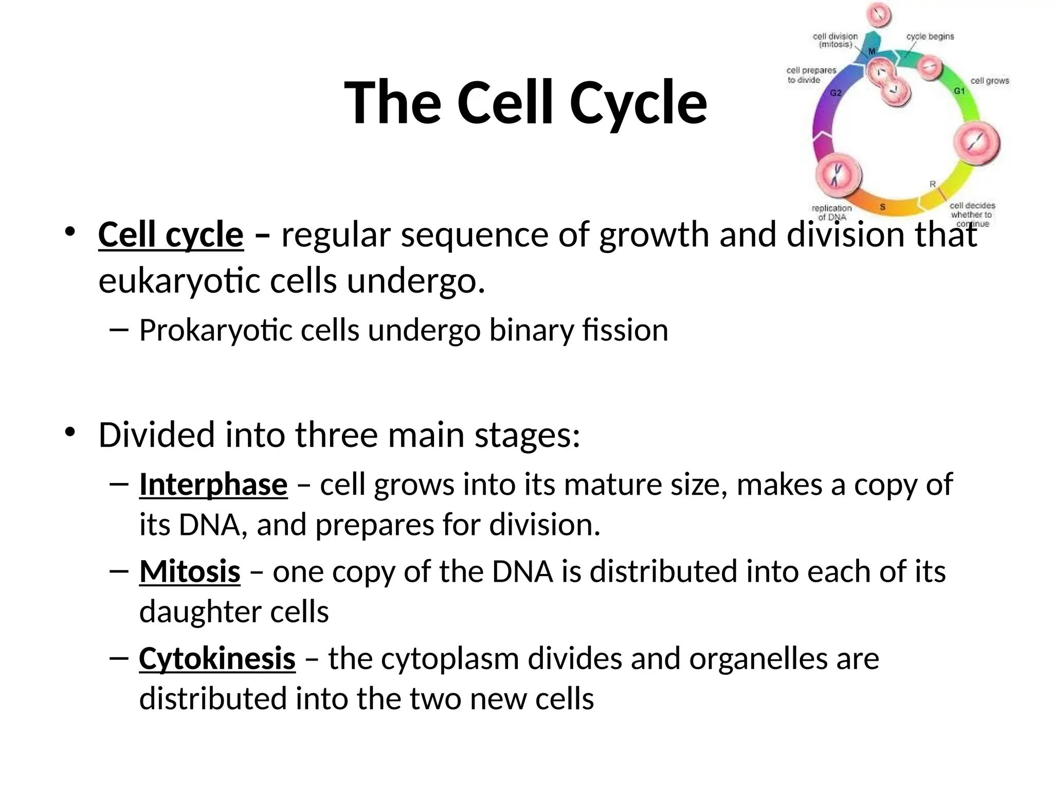 Cell Division Mitosis Meiosis_Introduction to Cell Division | PPTX