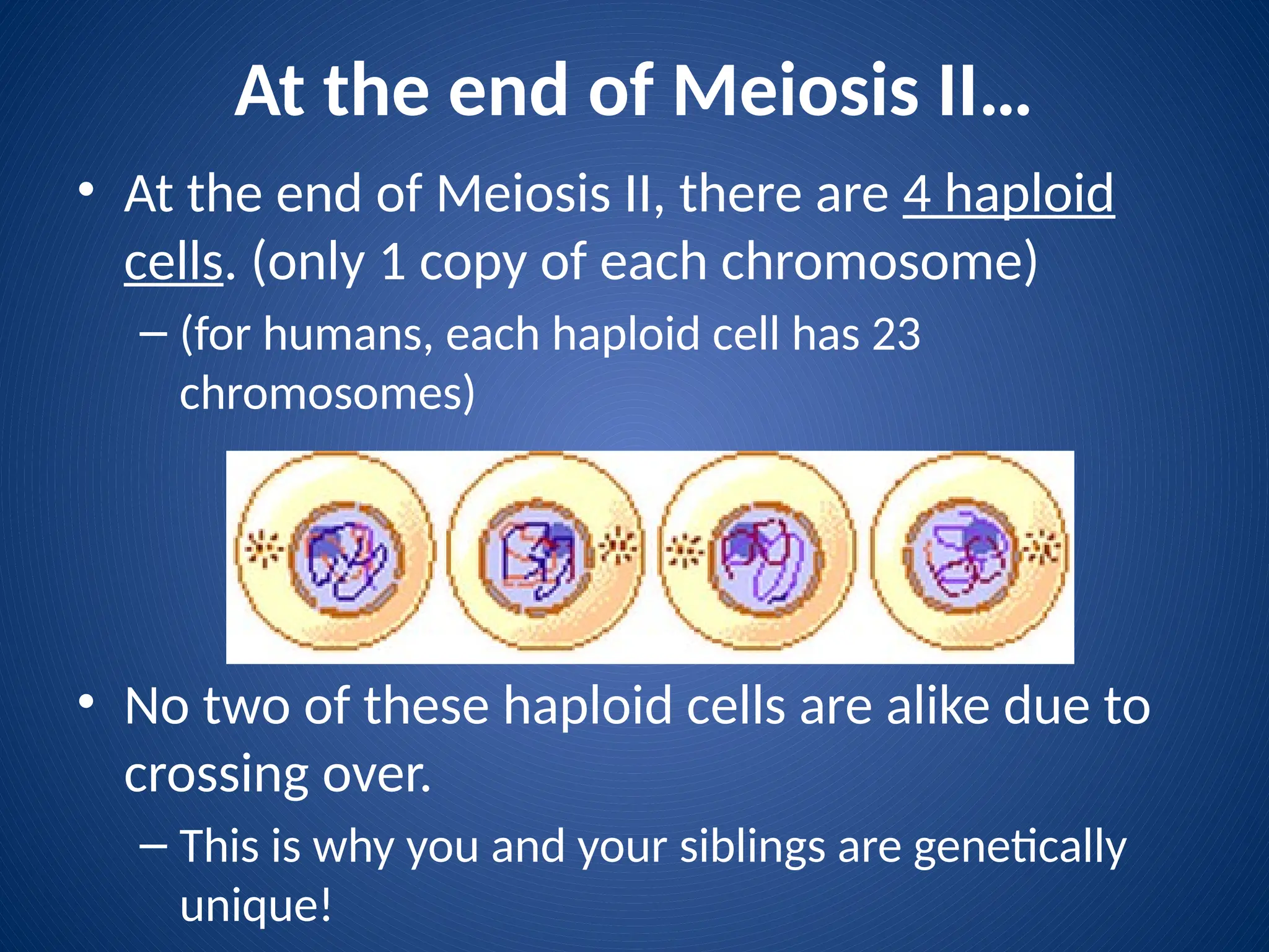 Cell Division Mitosis Meiosis_Introduction to Cell Division | PPTX