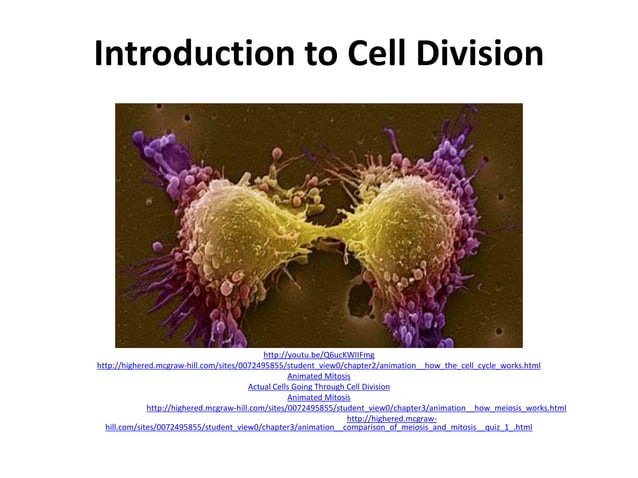 Cell_Division_Mitosis_Meiosis_ppt_{SIS7DDA7B647659}.pptx