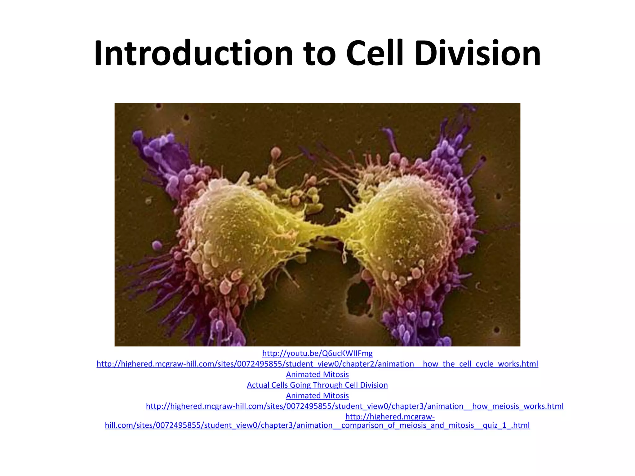 Cell division | PPT