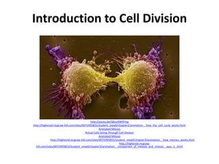 Cell division | PPTX