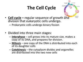 Cell division | PPTX