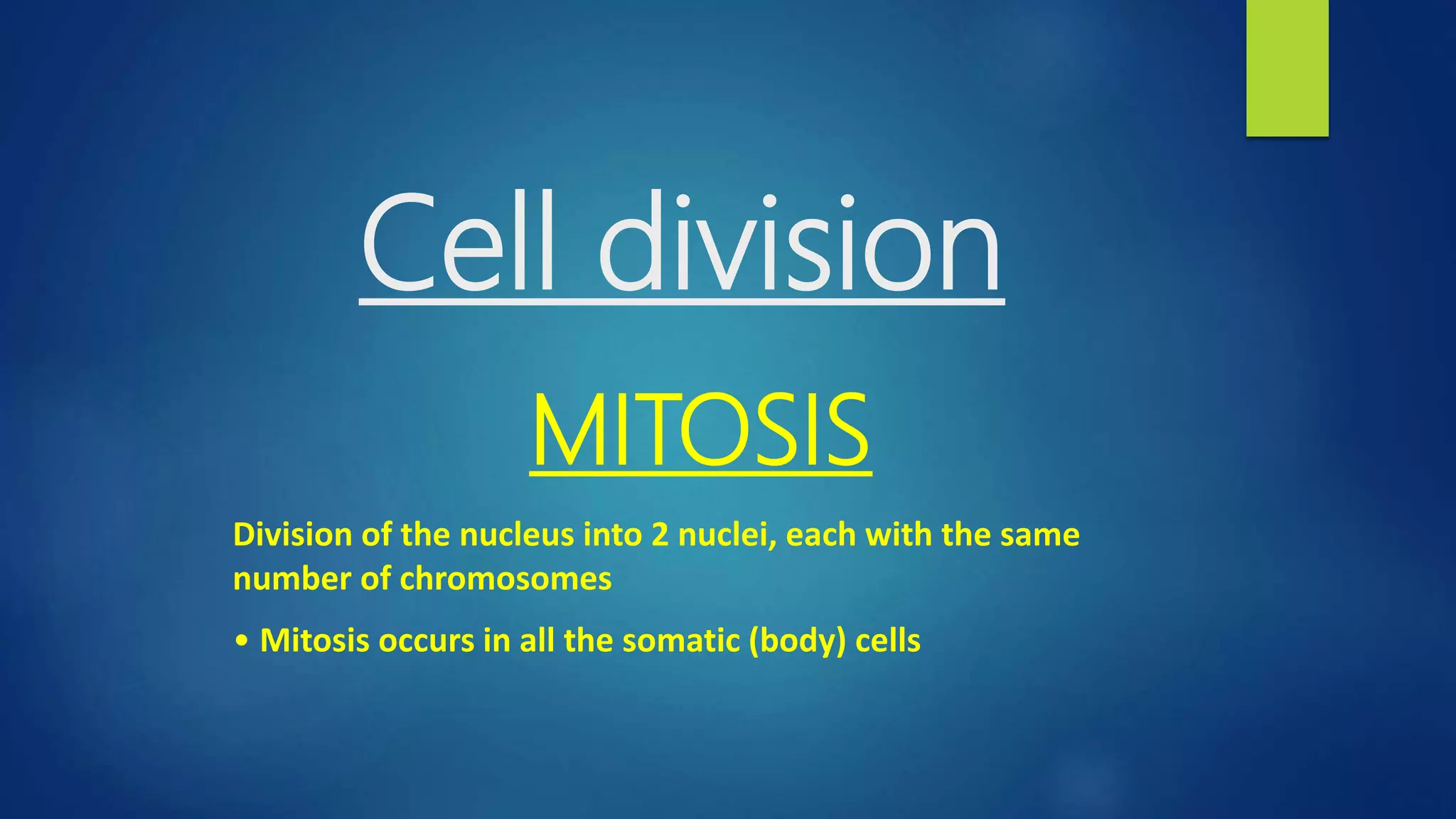 Cell division Mitosis ppt.pptx
