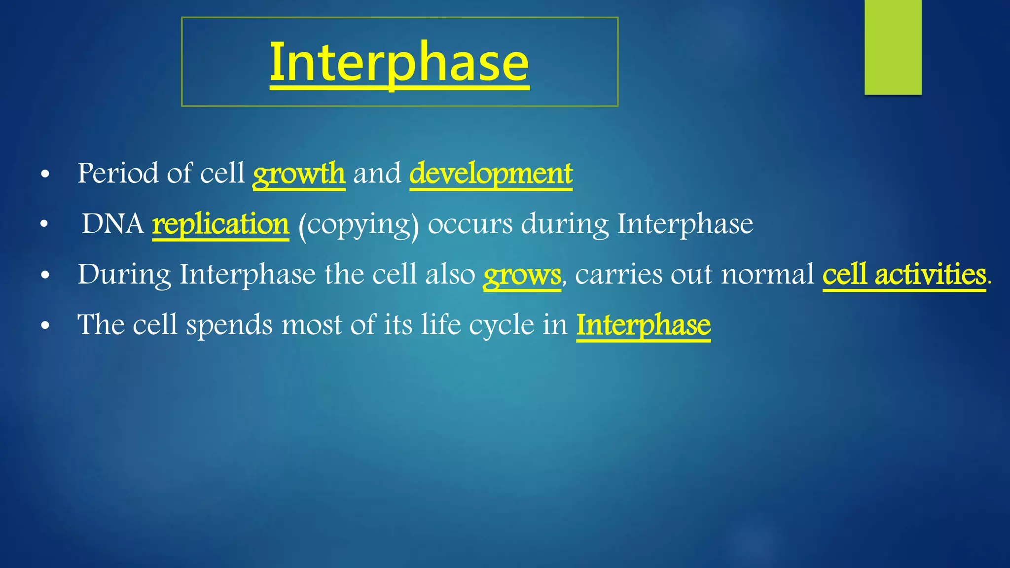 Cell division Mitosis ppt.pptx