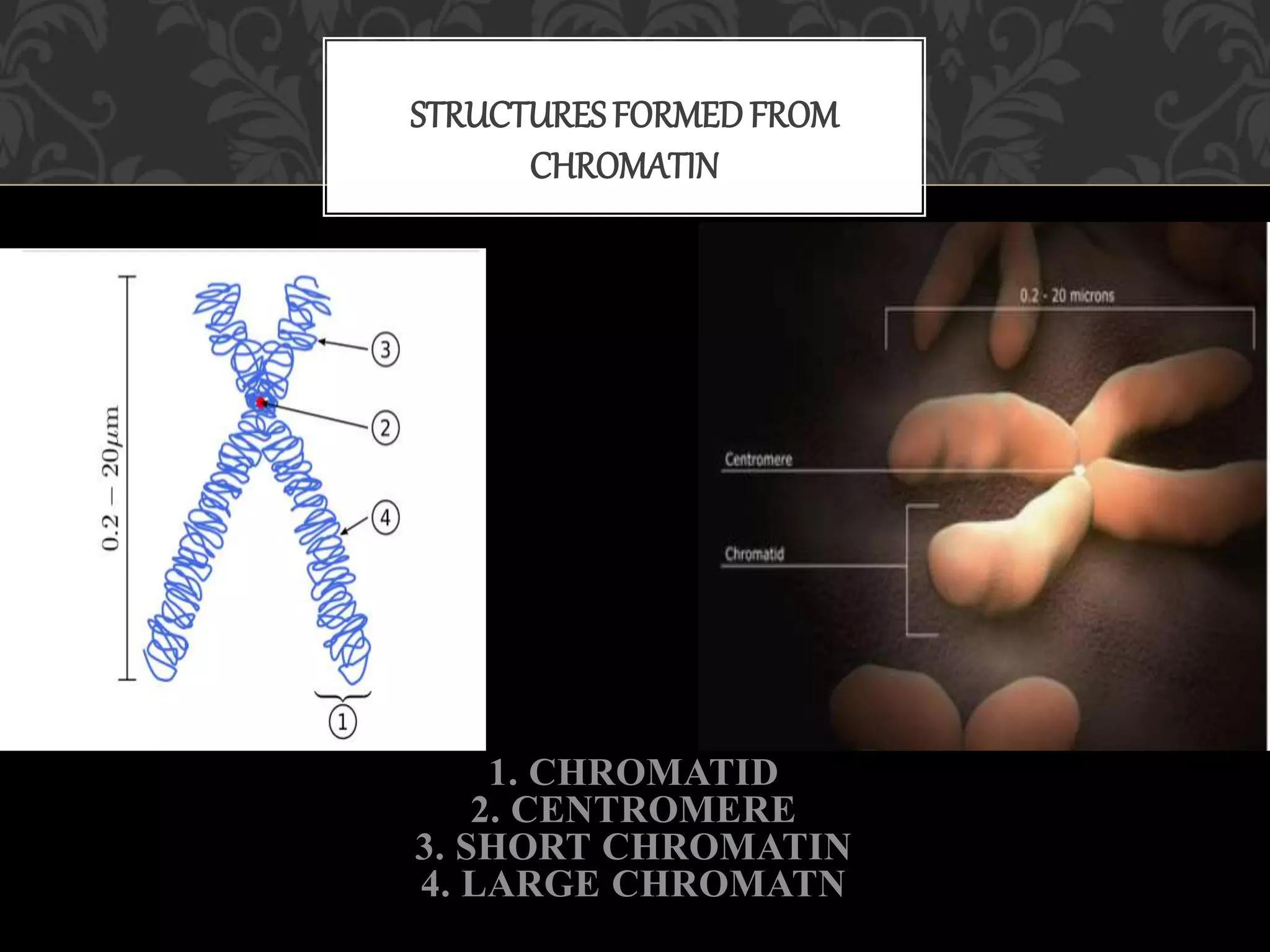 Cell division | PPTX