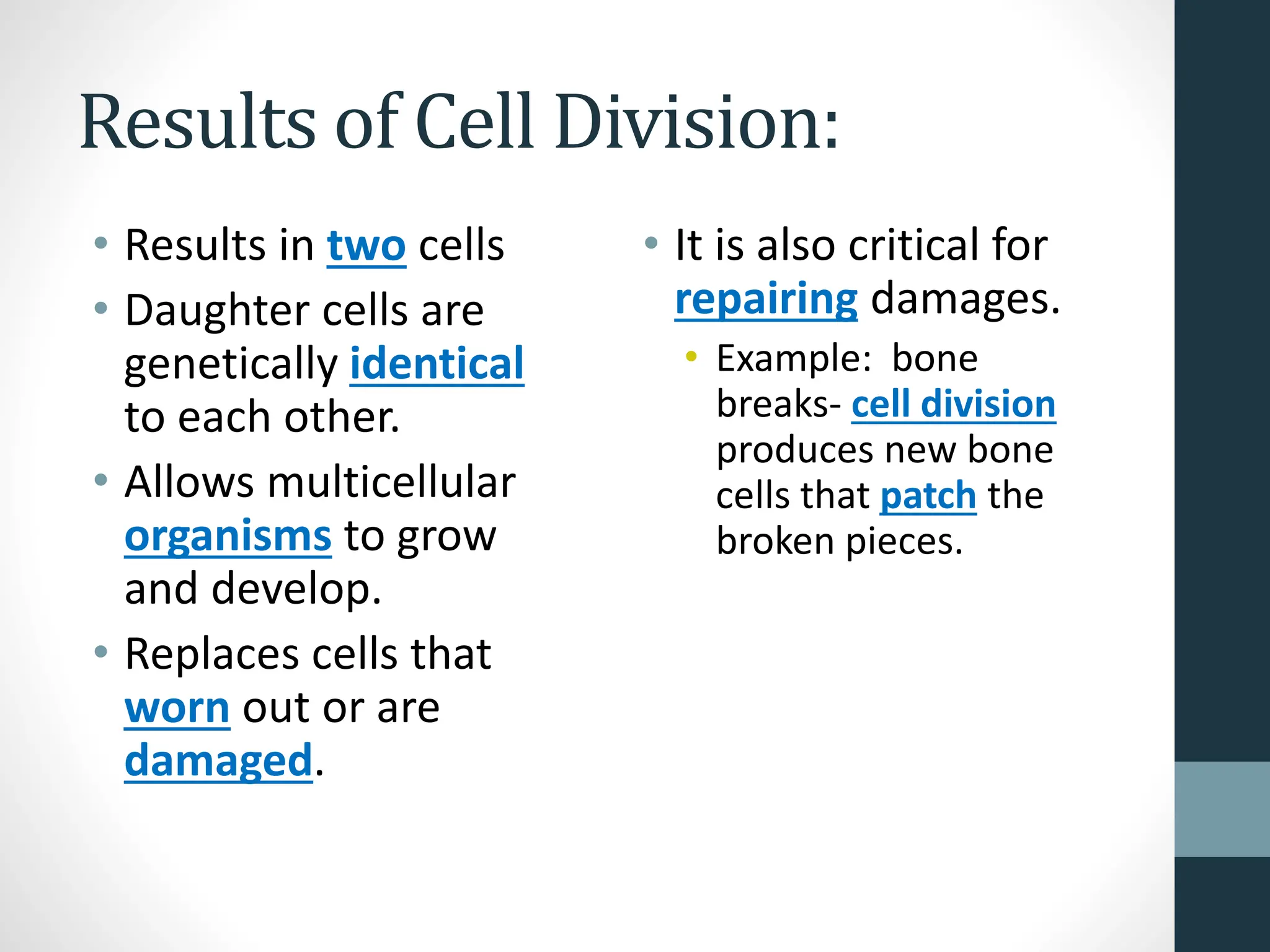 Cell Division Notes. Meiosis and mitosis | PDF