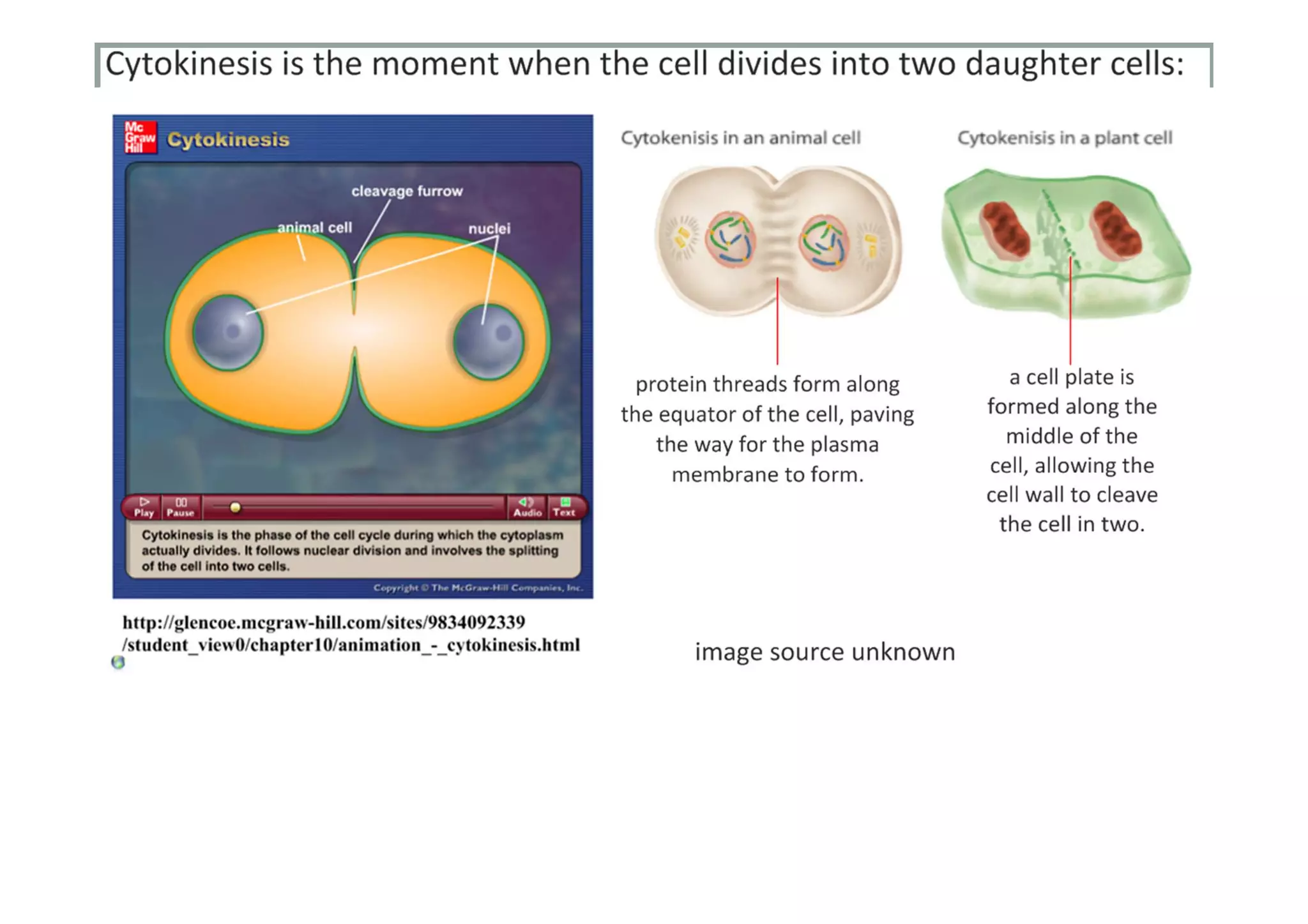 Cell division p [compatibility mode] | PDF