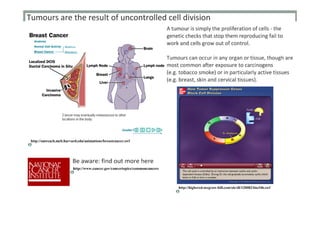Cell division p [compatibility mode] | PDF