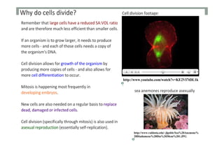 Cell division p [compatibility mode] | PDF