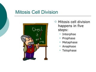 Mitosis Cell Division Ppt | PPT