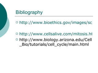 Mitosis Cell Division Ppt | PPT