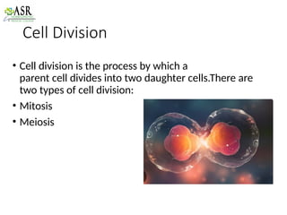 cell division ppt D.Anitha chandini.pptx