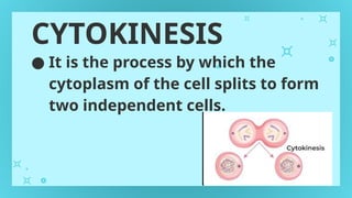 S8Q4 Module 2 Cell Division PPT Mitosis.pptx