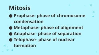 S8Q4 Module 2 Cell Division PPT Mitosis.pptx