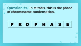 Cell Division PPT Mitosis Science Quiz Bee.pptx
