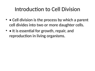 Cell division presentation for school project | PPTX