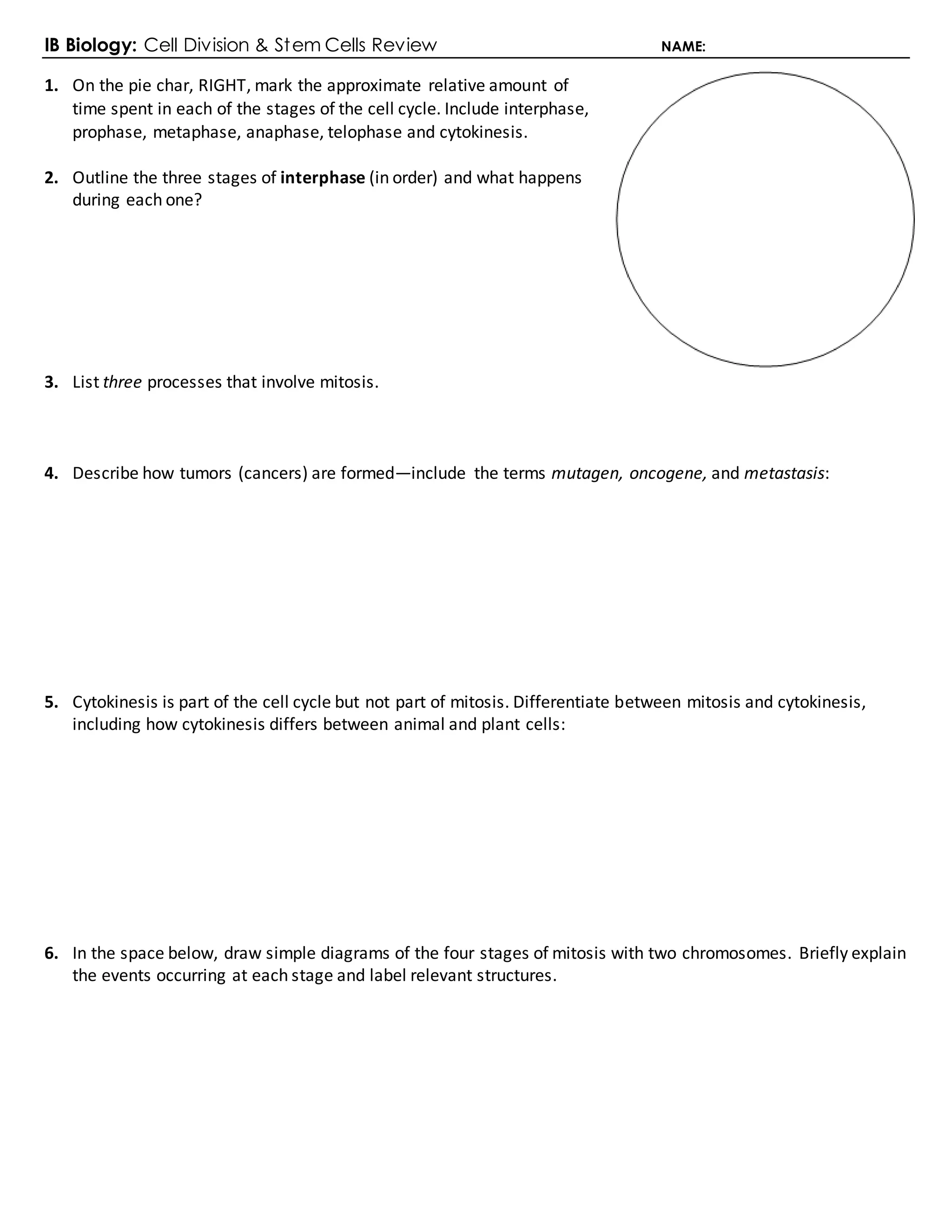 IB Cell Division Review (1.6) | DOCX