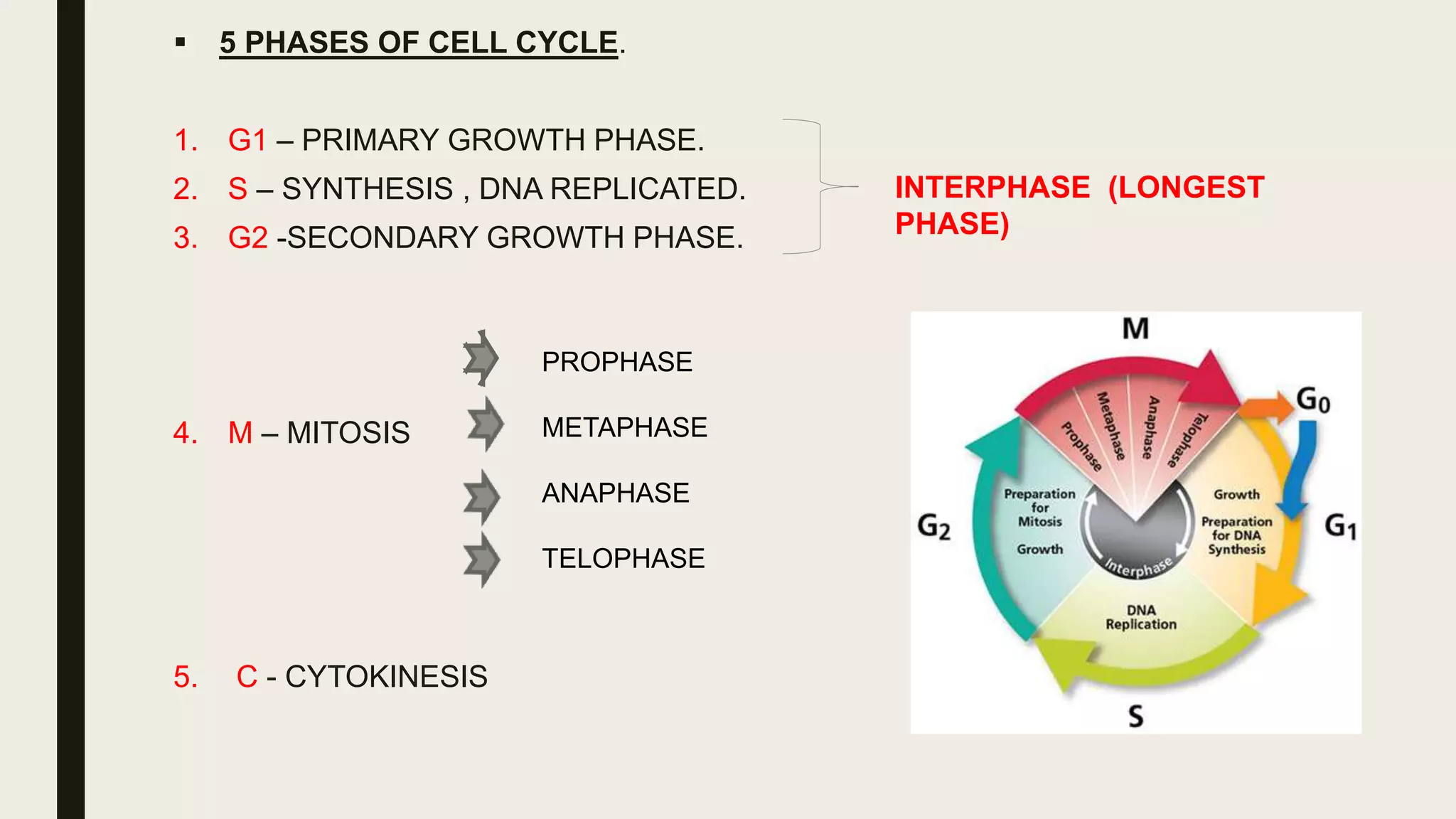 Cell division seminar1 | PPTX