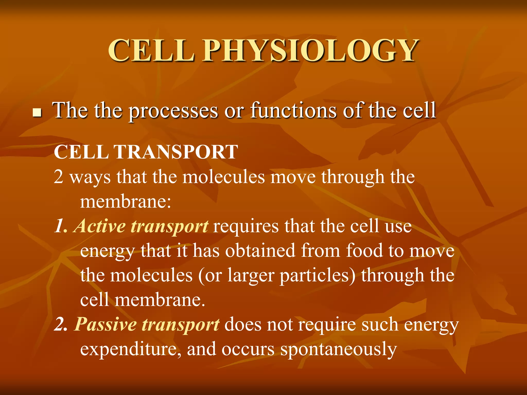 CELL DRINKING, CELL EATING.ppt