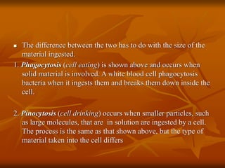 CELL DRINKING, CELL EATING.ppt