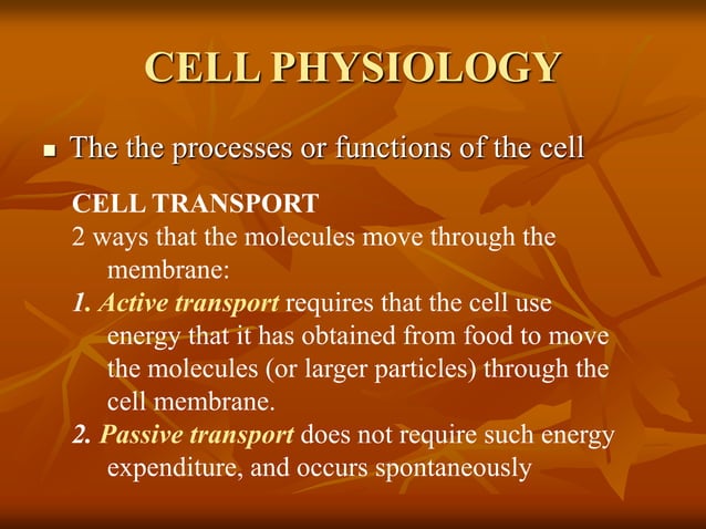 CELL DRINKING, CELL EATING.ppt | Free Download