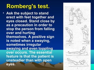 Cellebelar | PPT