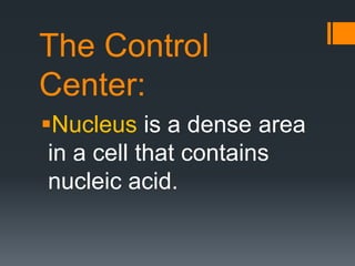 cell ebrate science.pptx