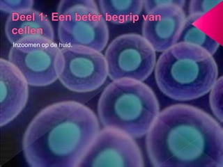 Cellen | PPTX