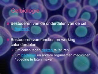 Cellen | PPT