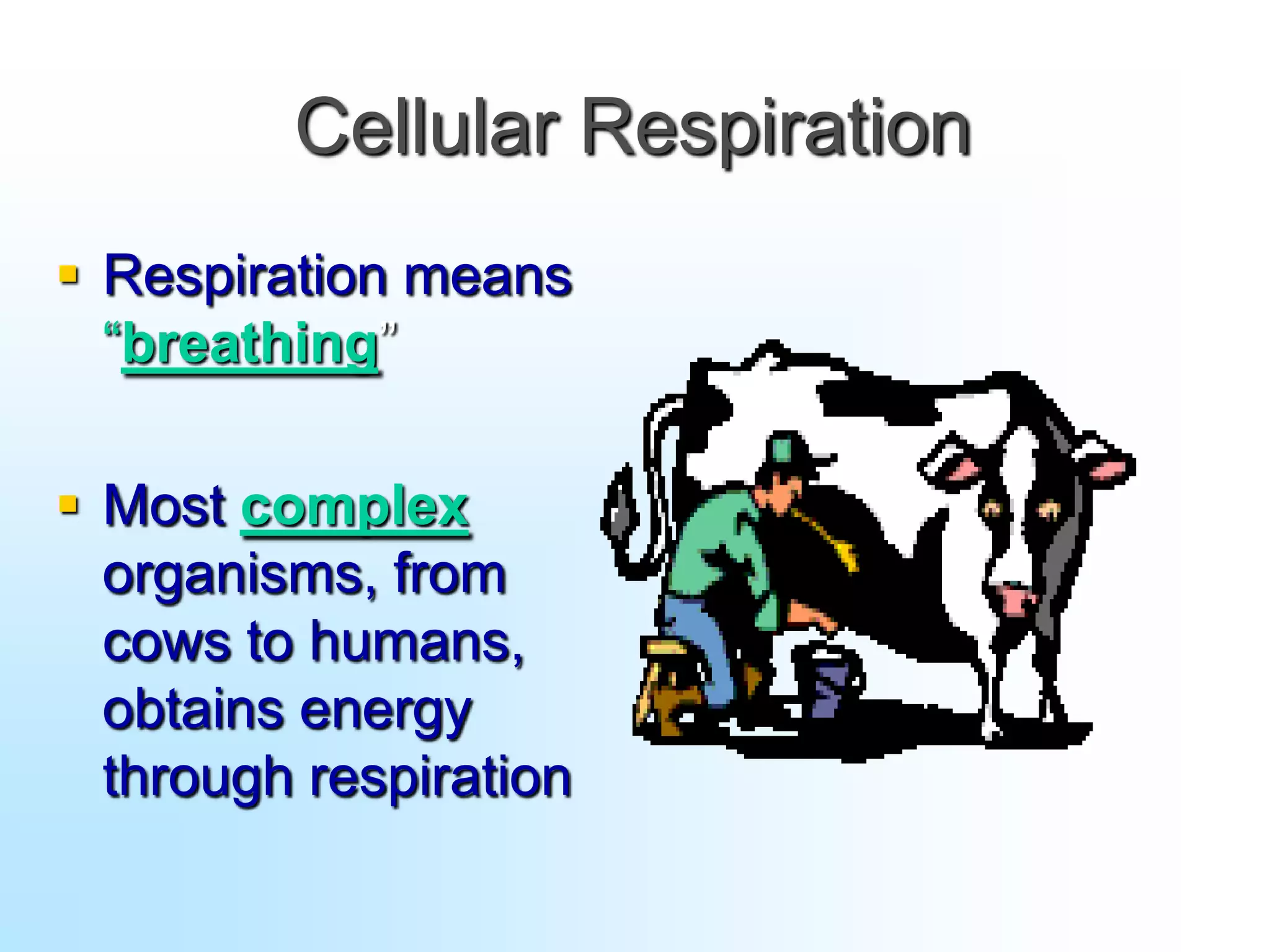 Cell energy | PPT