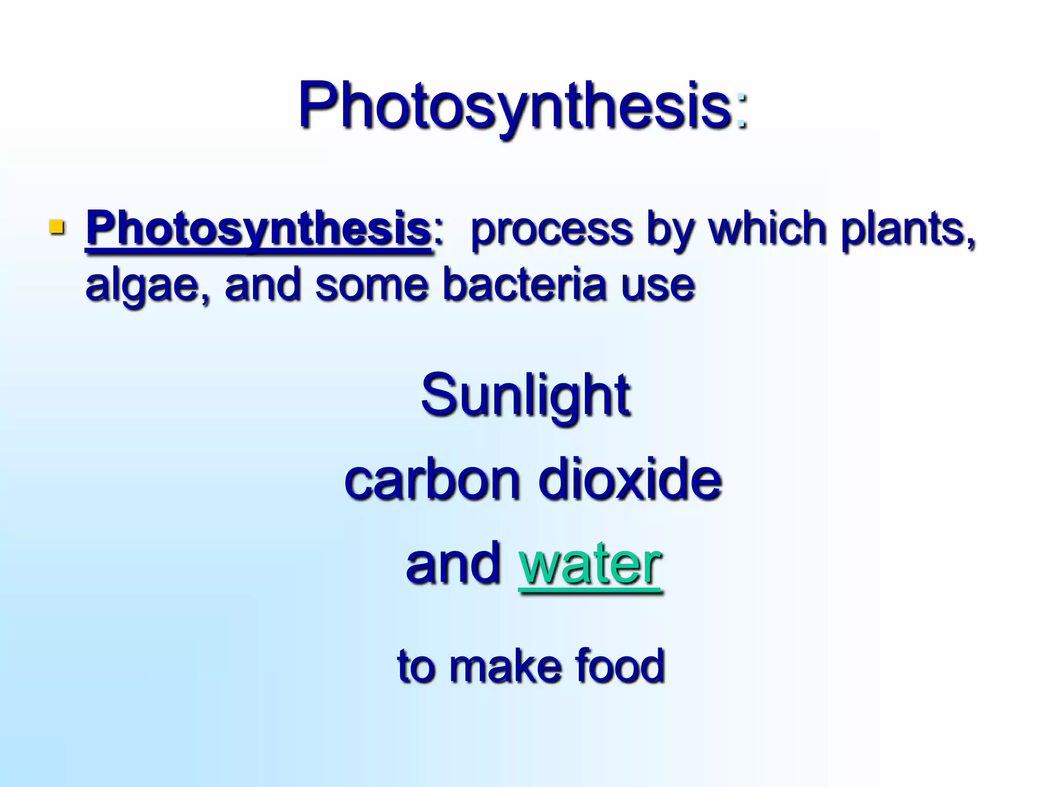 Cell energy | PPT