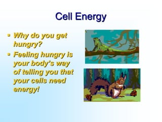 Cell energy | PPT