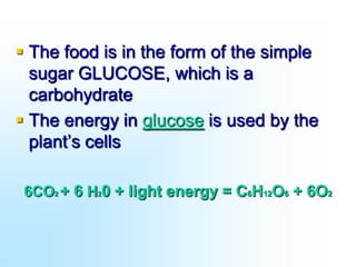 Cell energy | PPT