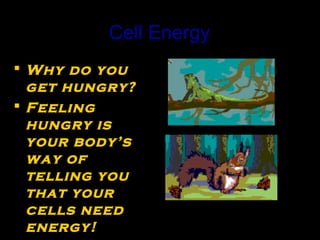 Cell energy | PPT