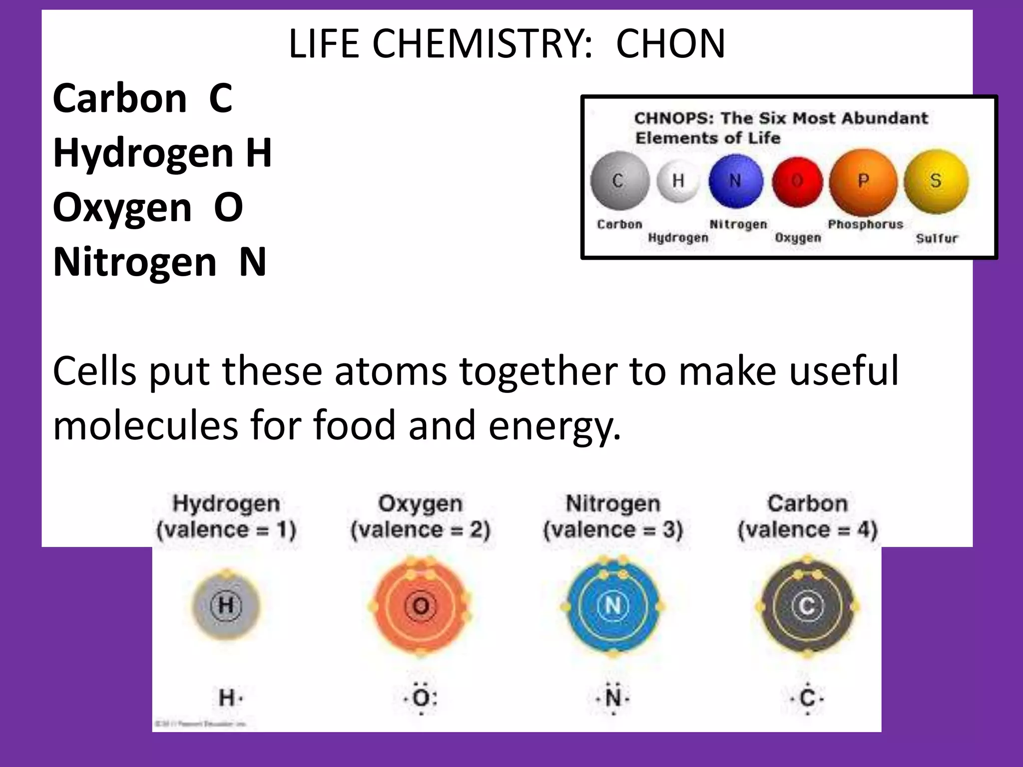 Cell Energy 1 Notes | PPTX