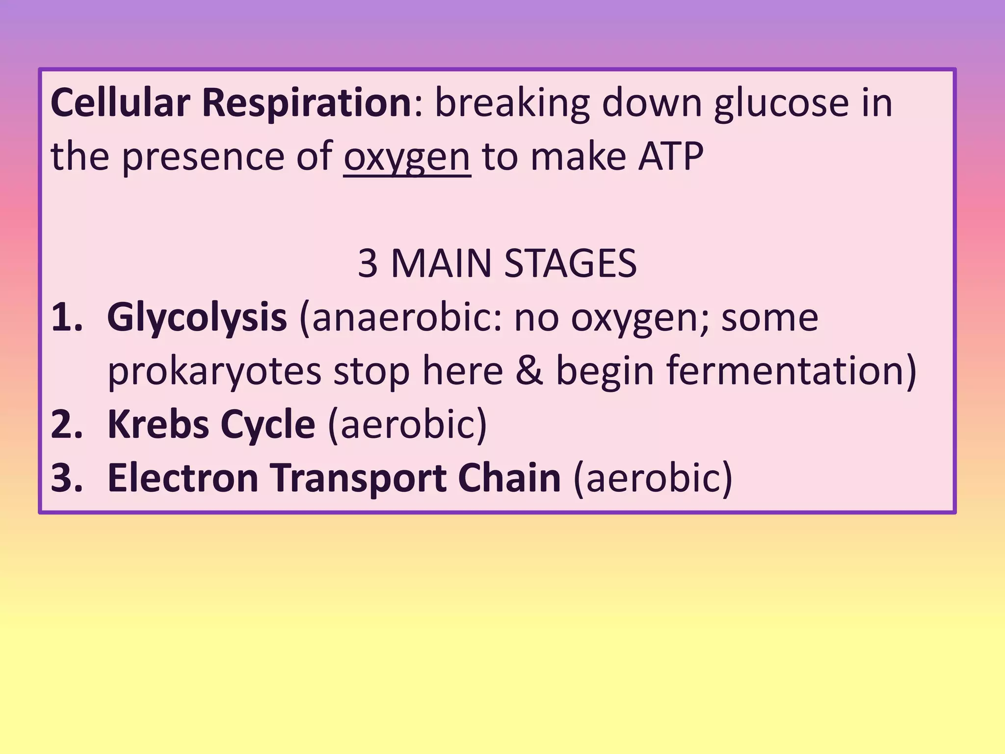 Cell energy 2 cellular respiration | PPTX