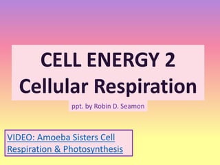 Cell energy 2 cellular respiration | PPTX