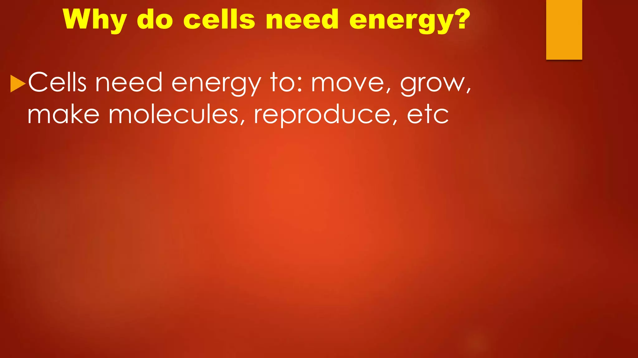 Cell energy 7th | PPTX