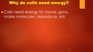 Cell energy 7th | PPTX