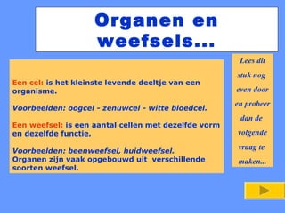 Cellen Organen En Weefsels | PPT