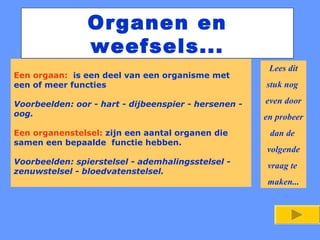Cellen Organen En Weefsels | PPS