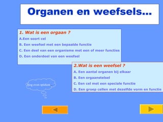 Cellen Organen En Weefsels | PPT